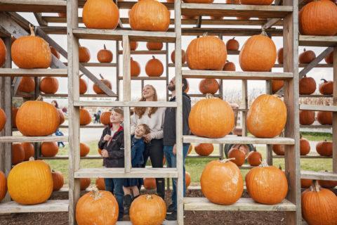 Gritt’s Farm - Putnam County Tourism
